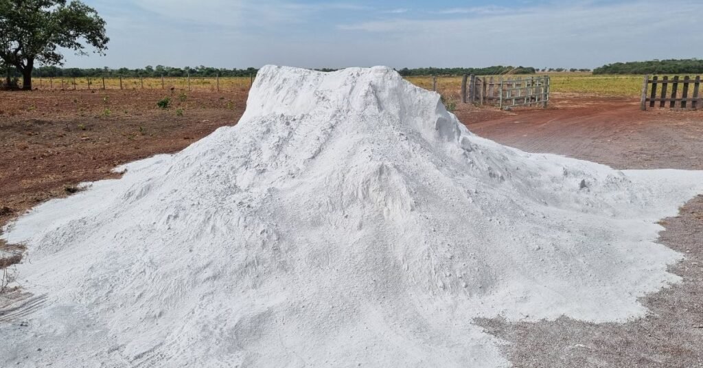 Por que aplicar calcário na pastagem?